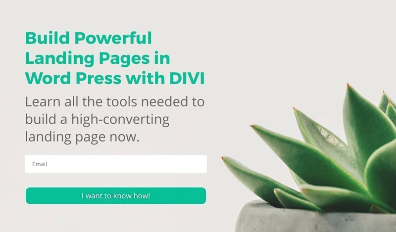 Funnel 101: Create a high-converting landing page using WordPress with Divi | Build a Profitable ...